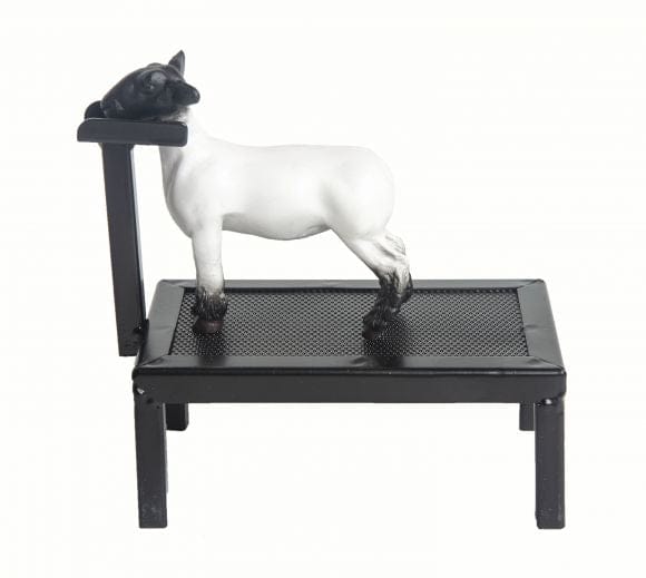 Sheep Fitting Stand | Henderson's Western Store